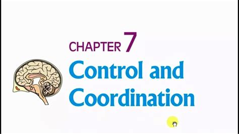 Control And Coordination Class 10 Science Ch 7 Part 1 YouTube