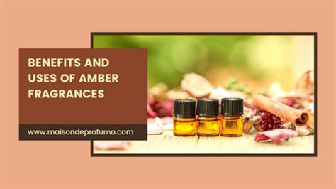 Unlock The Secrets Of Amber A Deep Dive Into This Timeless Fragrance