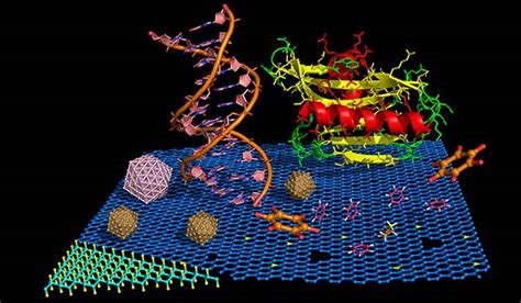 Functionalized Graphene Nanomaterials Cd Bioparticles