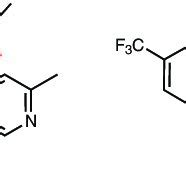 Representative Examples Of Bioactive Compounds Tetrahydro γ Carboline Download Scientific
