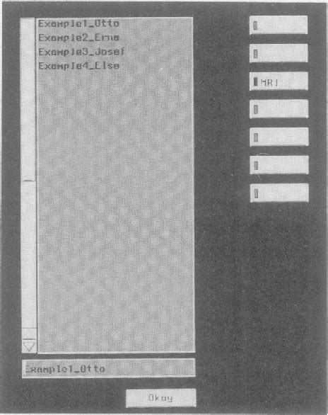 Figure 2 From Visualization Of Multimodal Image Information In Medicine Semantic Scholar