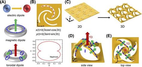 Toroidal Electric Dipole Enabled Chiral Surface Lattice Resonances In