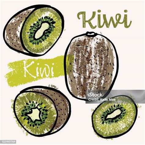 키위 과일 라인 아트와 컬러 핸드 그린 벡터 일러스트레이션 거친 크레용 스트로크 낙서 에 A 표현 느슨한 색칠 공부 책 스타일 0명에 대한 스톡 벡터 아트 및 기타 이미지