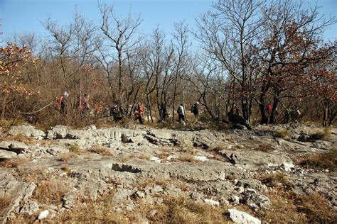 Photo Gallery Escursione Con Elio Polli Società Alpina Delle Giulie