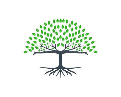 Big Tree Simple Logo Design Vector Illustration Stock Vector Illustration Of Leaf Isolated