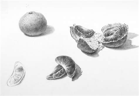 연필 드로잉 [정물] 렛츠드로우