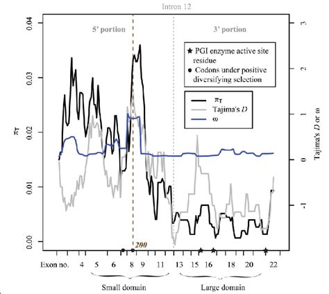 Sliding Window Analyses Of Nucleotide Diversity π T Tajimas D And Download Scientific