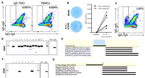 A Development Of An Enhanced Flow Cytometric Method For Detection Of Download Scientific