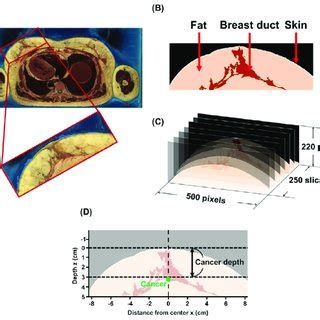 Implementation Of The Contour And The Internal Structures Derived From Download Scientific