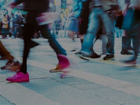 Tango Predictive Analytics Tango