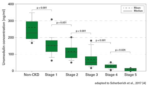 Uromodulin A Protein With Many Clinical Implications Euroimmunblog