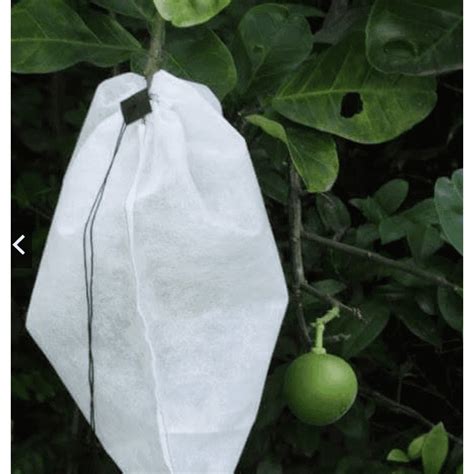 Mua Set 50 Túi Bao Bọc Trái Cây đủ Sizebao Bọc Bưởi ổi Dưa Xoài Cam Mít Mướp Chống Ruồi