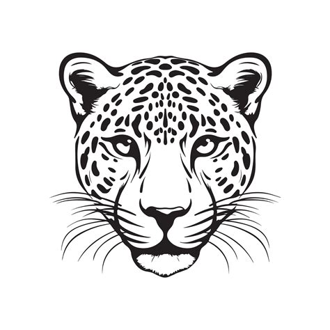 Leopard Head Vector Images 38567766 Vector Art At Vecteezy Leopard Head Vector Images 38567766 Vector Art At Vecteezy