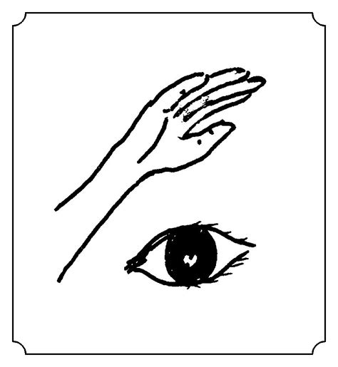 看 中华5000 看 中华5000