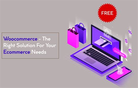 Woocommerce The Right Solution For Your Ecommerce Needs Elvira Infotech