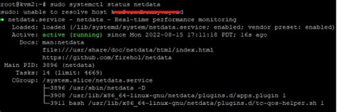 Apa Itu Netdata Dan Cara Install Di Vps Ubuntu