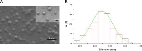 Pcl Pip Nps Observed By Sem A Sem Micrograph B Histogram Of The