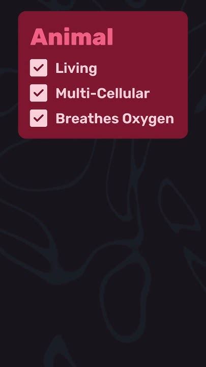 Classes In Gdscript Gamedev Godot Coding Youtube