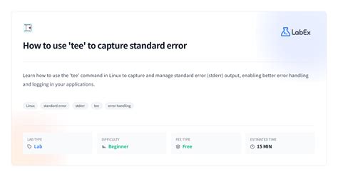 How To Use Tee To Capture Standard Error Labex