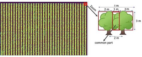 tree crown detection using the boxes distribution in the parcel