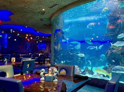 Aquarium Restaurant Underwater Restaurant Ideas