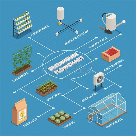Greenhouse Hydroponics Isometric Flowchart Stock Illustrations 6
