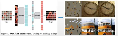 追一追新鲜出炉的convnext V2 知乎