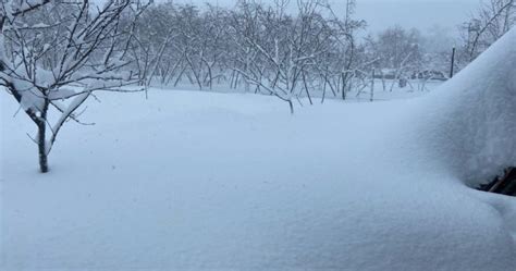 ოზურგეთში თოვლმა საბავშვო ბაღი ჩაანგრია გურიის მოამბე