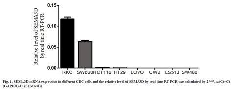 Role Of Semaphorin 3d In Inhibition Of Colorectal Cancer Cell Migration