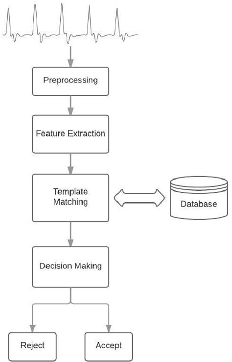 Figure 1 From Ecg As A Biometric For Individuals Identification Semantic Scholar