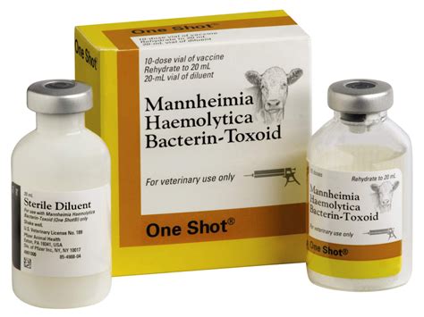 One Shot Cattle Pasteurella Vaccine Animal Health Express