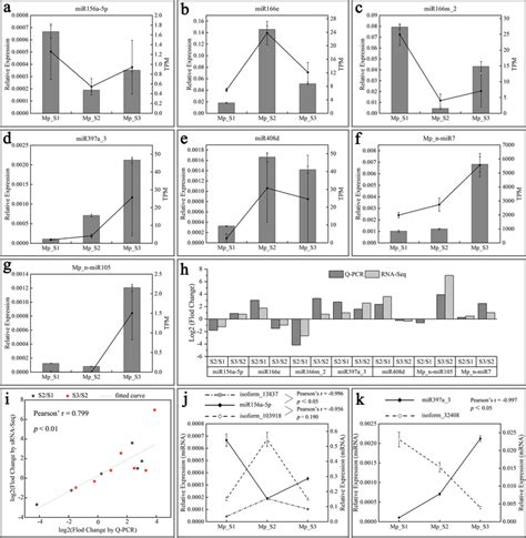 Expression Verification Of Representative Mirnas Using Quantitative Download Scientific Diagram