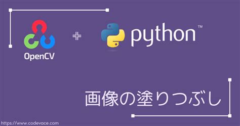 【python・opencv・numpy】画像の塗りつぶし Codevace