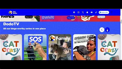 Simple Cloning Project Using Htmlcssjs ️🎉frontend Webdesign