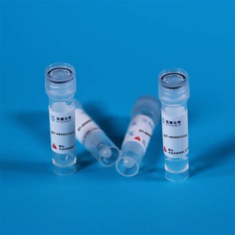 Loading Control Antibodies Loading Control Antibody Qyaobio