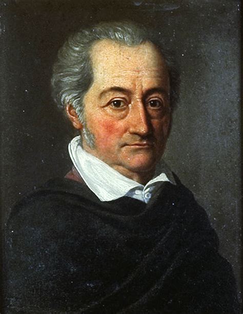 Der Politiker Goethe Johann Wolfgang Von Goethe Iltxst