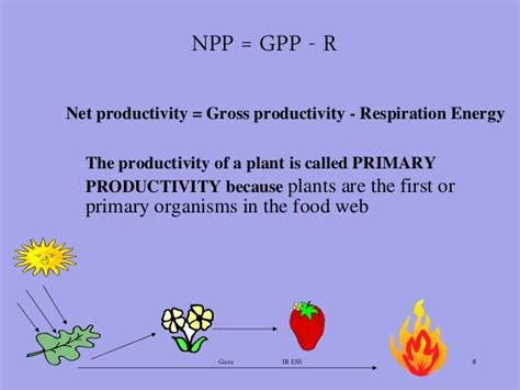 Primary Productivity Files Primary Productivity Files