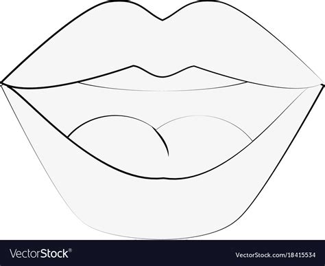 Sexy Women Lips Royalty Free Vector Image Vectorstock