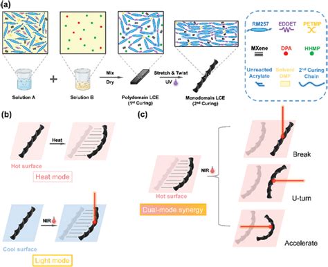 Design And Fabrication Of Mxenelce The Actuator A Fabrication Download Scientific Diagram