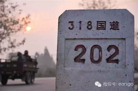 国道编号公路标线 随意云