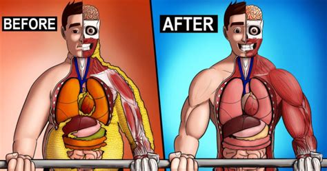 Што ви се случува во телото кога вежбате Кајгана