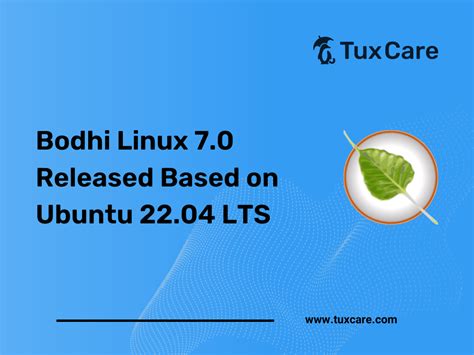 bodhi linux 7 0 released based on ubuntu 22 04 lts