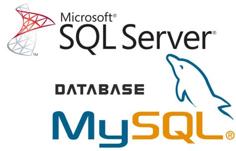 Design Database With Mysql Sql Server And Write Queries By Omarmbairik Fiverr