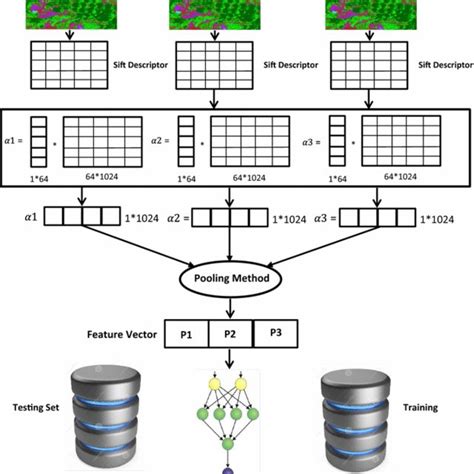 Image Classification Based On Sc Using Local Features Download Scientific Diagram