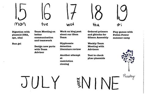 Team UIUC Illinois Experiments 2019 Igem Org