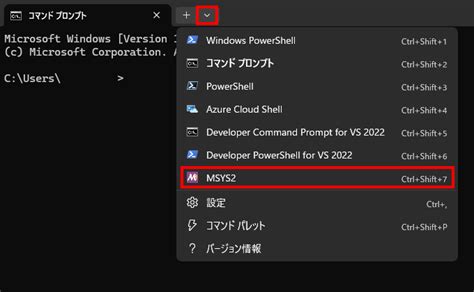 【gcc】windowsにmsys2をインストールする ネコニウム研究所