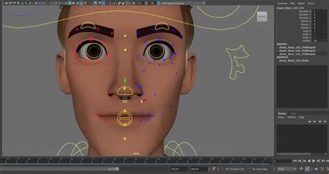 Do 3d Character Rigging Blendshape Keys Wonder Dynamic In Blender