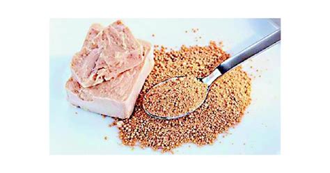 Как се възбужда процес на ферментация Български Фермер