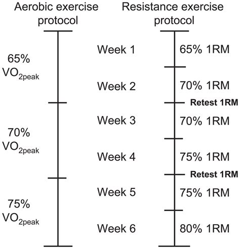 Concurrent Exercise Program Design With Weekly Intensities For Aerobic Download Scientific