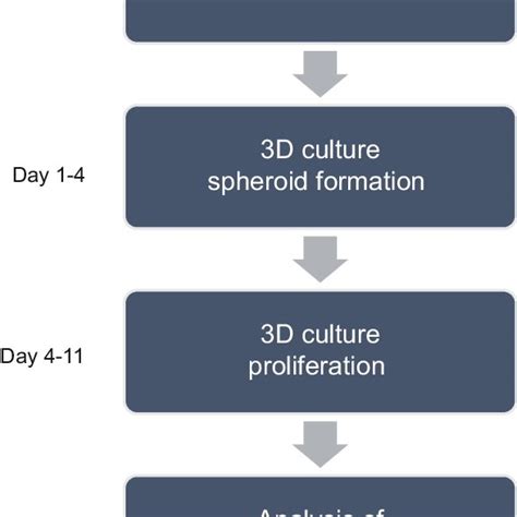 Schematic Illustration Of The Protocol Download Scientific Diagram